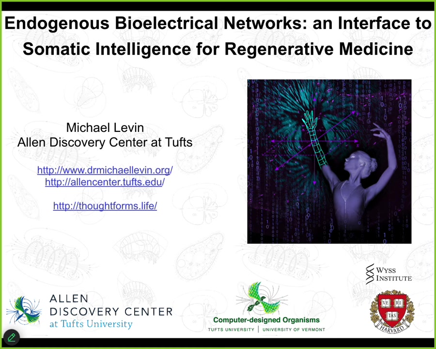 "Endogenous Bioelectrical Networks: an interface to somatic ...