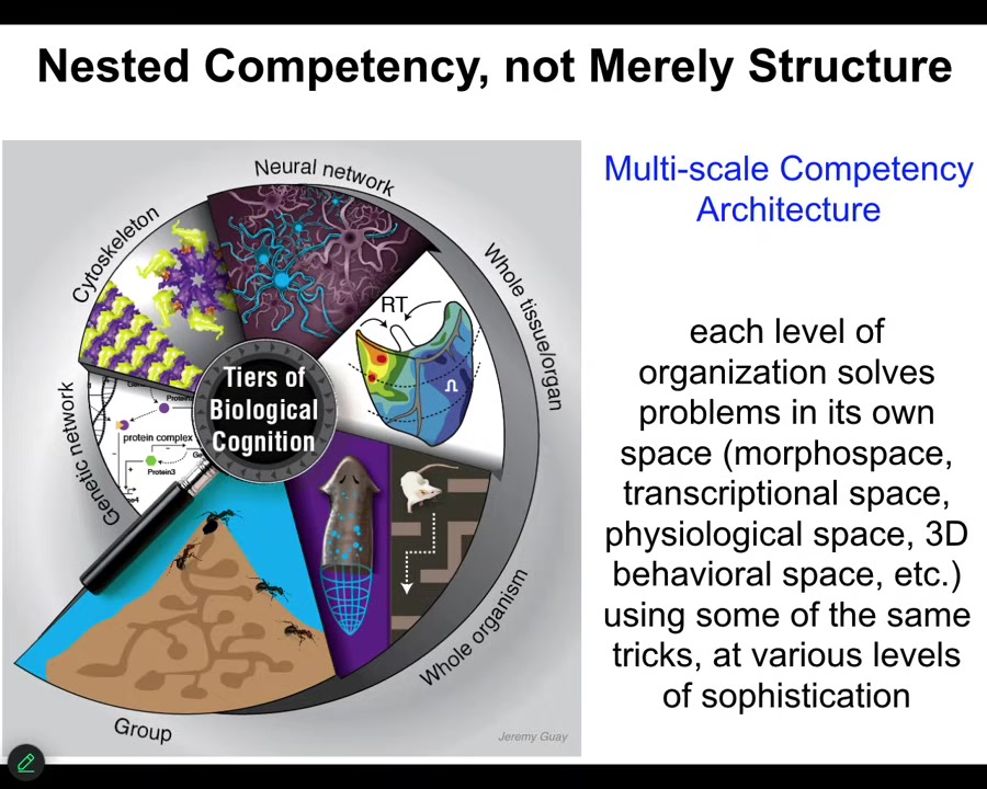 “The Unreasonable Effectiveness of the Behavioral Sciences in ...